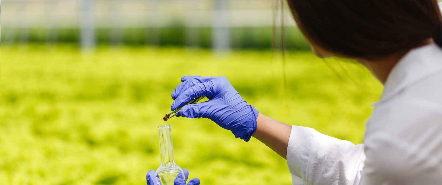 Nexustestlabs – Environmental Investigation Towards Safe Health